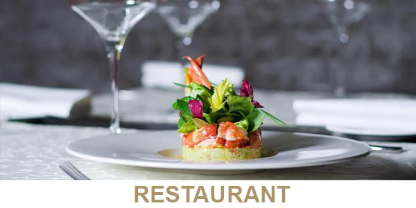 DPack - Todo el packaging en un solo lugar